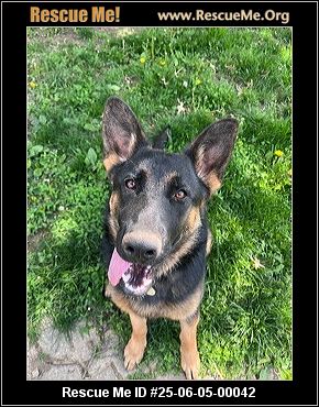- Indiana German Shepherd Rescue - ADOPTIONS - Rescue Me!