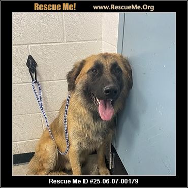 - Texas Mutt Rescue - ADOPTIONS - Rescue Me!