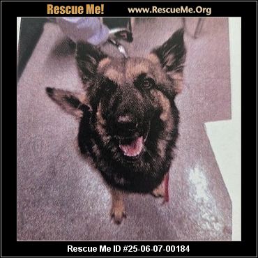 - Texas Mutt Rescue - ADOPTIONS - Rescue Me!