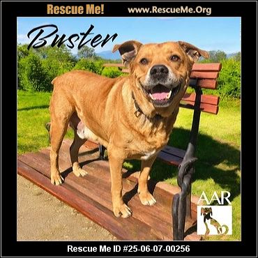 - Texas Mutt Rescue - ADOPTIONS - Rescue Me!