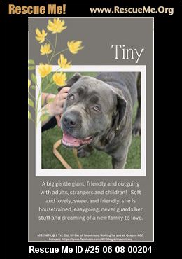 - New York Dog Rescue - ADOPTIONS - Rescue Me!