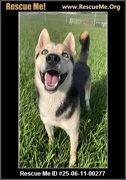 - Texas Mutt Rescue - ADOPTIONS - Rescue Me!