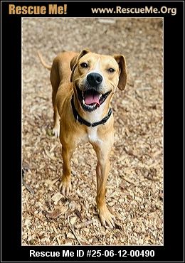 - Wisconsin Dog Rescue - ADOPTIONS - Rescue Me!