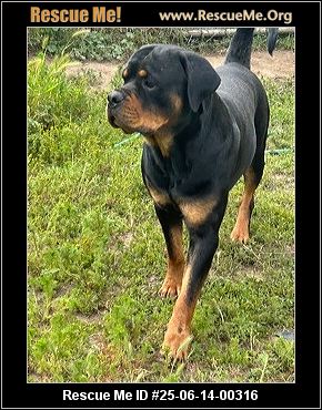 - Oregon Rottweiler Rescue - ADOPTIONS - Rescue Me!