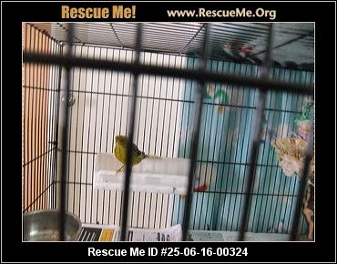 - Pennsylvania Pet Bird Rescue - ADOPTIONS - Rescue Me!