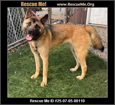 - Pennsylvania German Shepherd Rescue - ADOPTIONS - Rescue Me!