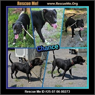 - Tennessee Dog Rescue - ADOPTIONS - Rescue Me!