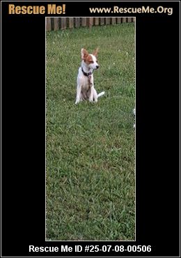 - Alabama Poodle Rescue - ADOPTIONS - Rescue Me!