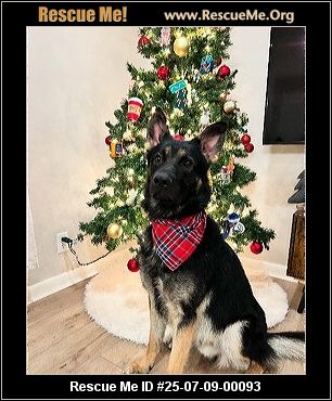 - Indiana German Shepherd Rescue - ADOPTIONS - Rescue Me!